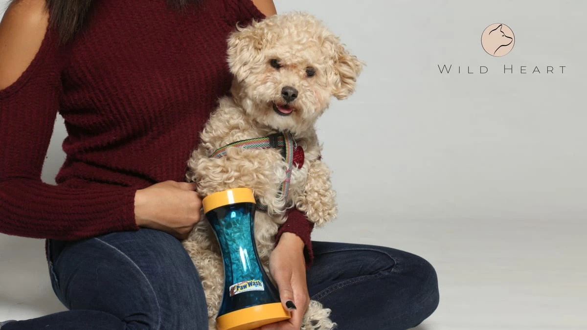 Interview with Katie Petty, Inventor of The Brushless Paw Wash and ...