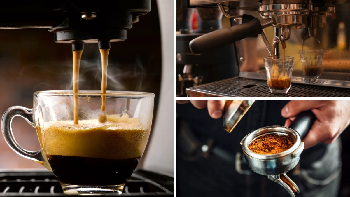 The Most Famous Coffeehouse Chains for Espresso Lovers - Bontena Brand ...